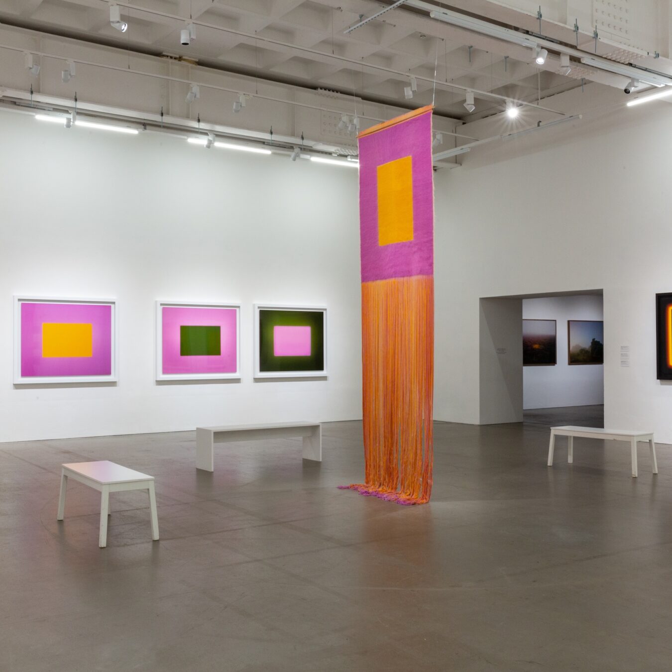 No camera, no problem: Garry Fabian Miller returns to the Arnolfini ...