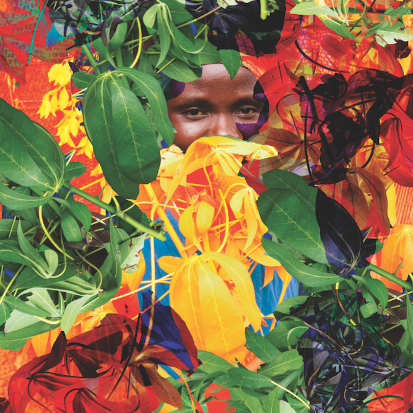 The return of FORMAT International Photography Festival - 1854 Photography