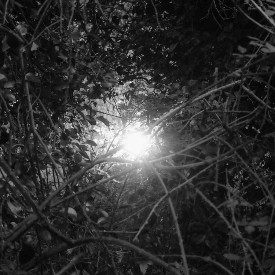 Capturing the mythology and magic of the Irish countryside - 1854 ...