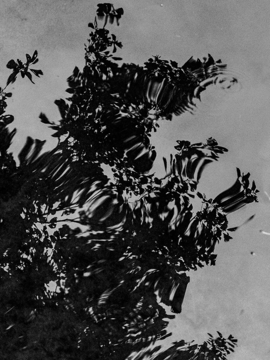 Capturing the mythology and magic of the Irish countryside - 1854 ...