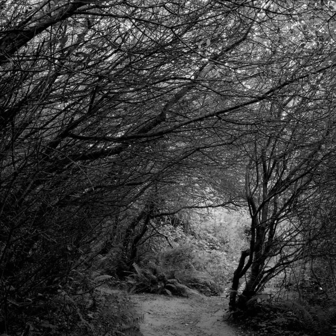 Capturing the mythology and magic of the Irish countryside - 1854 ...