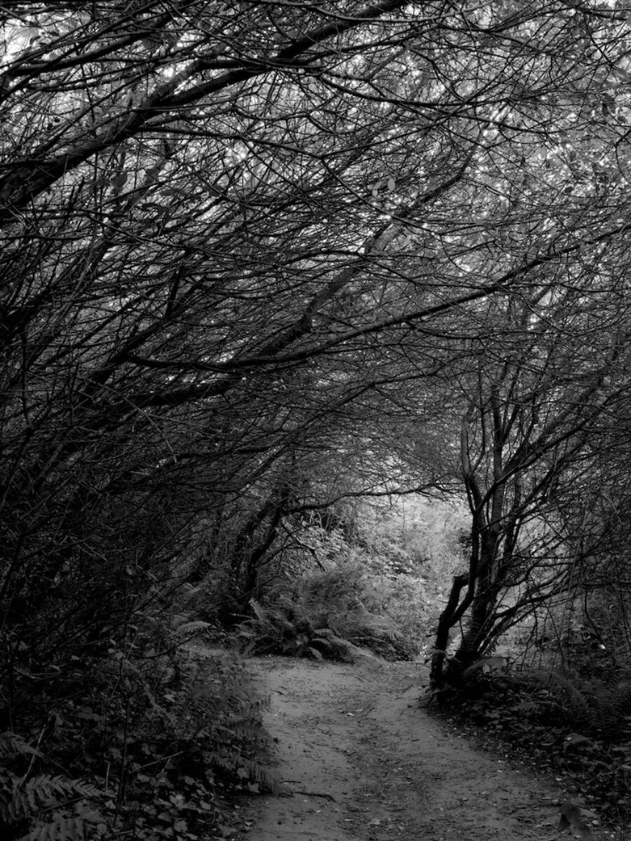 Capturing the mythology and magic of the Irish countryside - 1854 ...