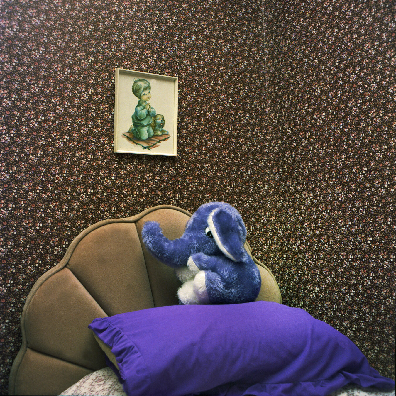 'It was social curiosity as much as anything else': David Moore on the ...