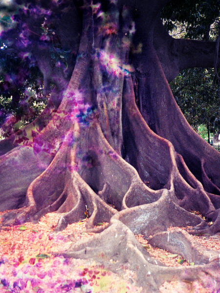 Maya Rochat on painting, perception, and ‘stretching photography’s ...