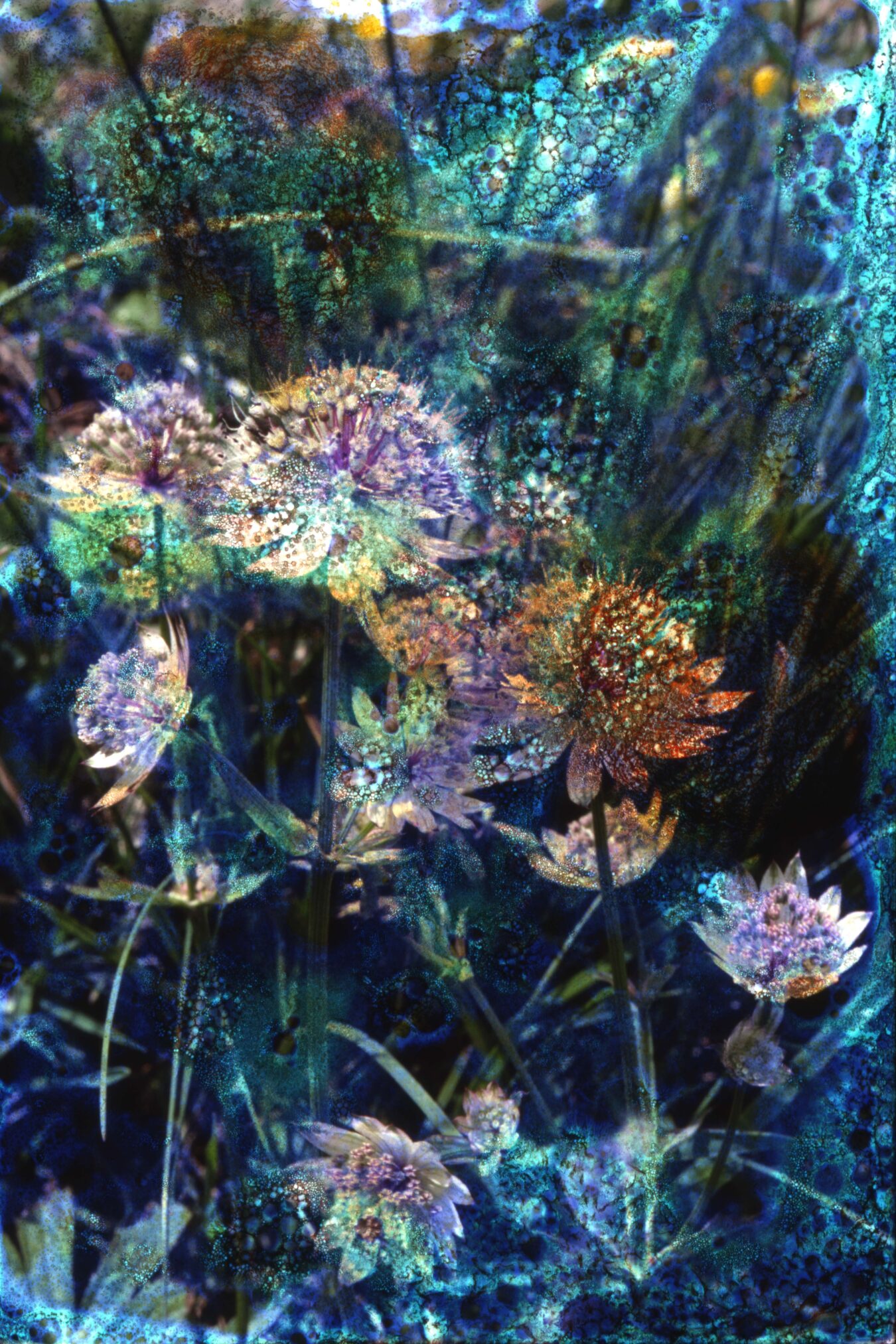 Maya Rochat on painting, perception, and ‘stretching photography’s ...