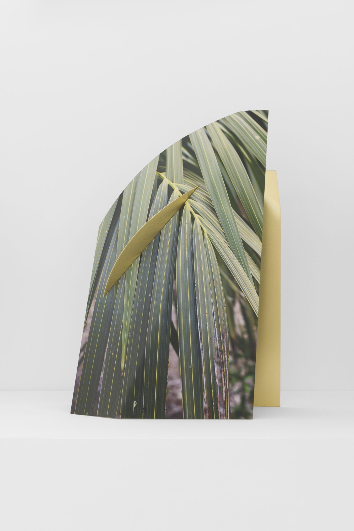 Letha Wilson on using concrete, metal and steel to expand photography ...