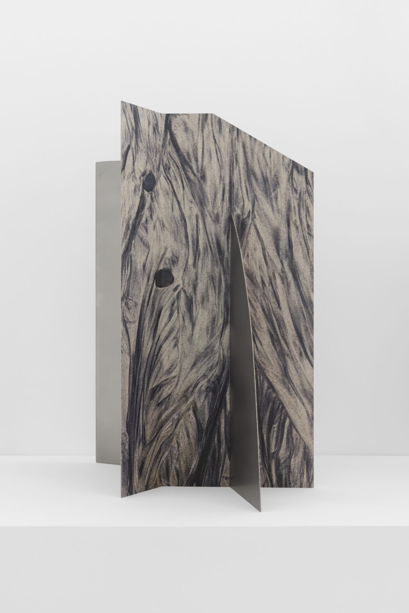 Letha Wilson on using concrete, metal and steel to expand photography ...