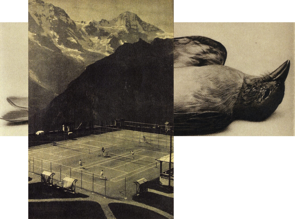 These are the most exciting photobooks out this winter - 1854 Photography