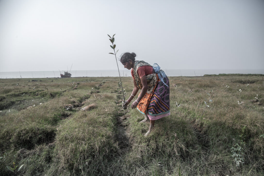 Hear from the director of the Indian Photo Festival - 1854 Photography