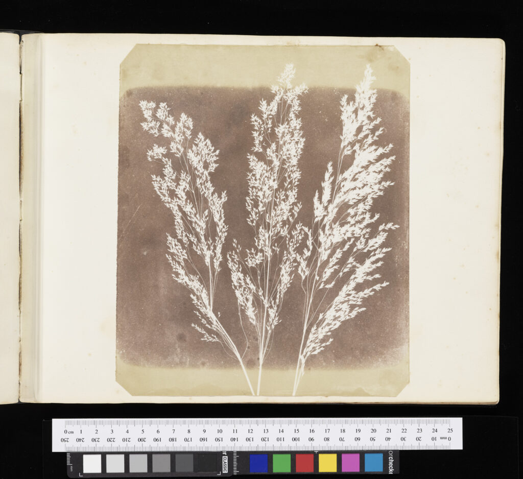 Between the stacks: How the Bodleian Libraries are embracing photo ...