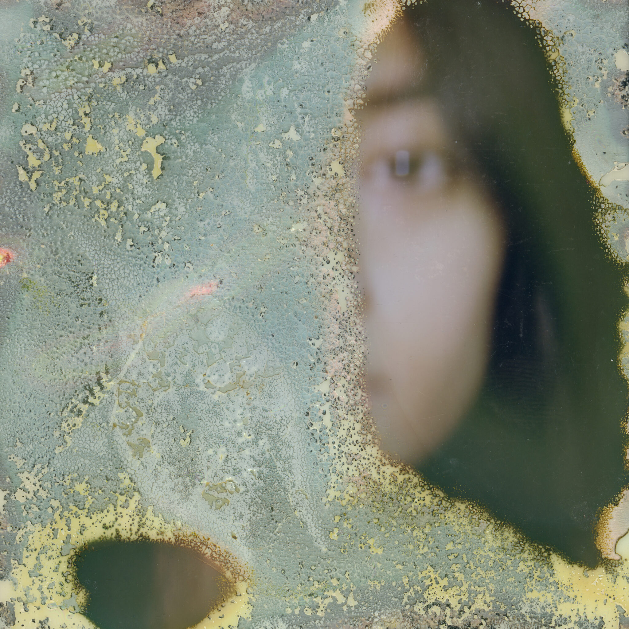 Bleaching Polaroids highlights the toxicity of western beauty standards ...