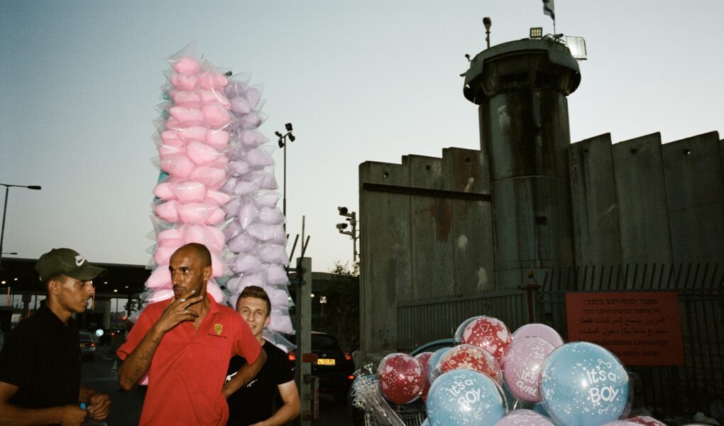 Nature and identity in the work of Teva Cosic - 1854 Photography