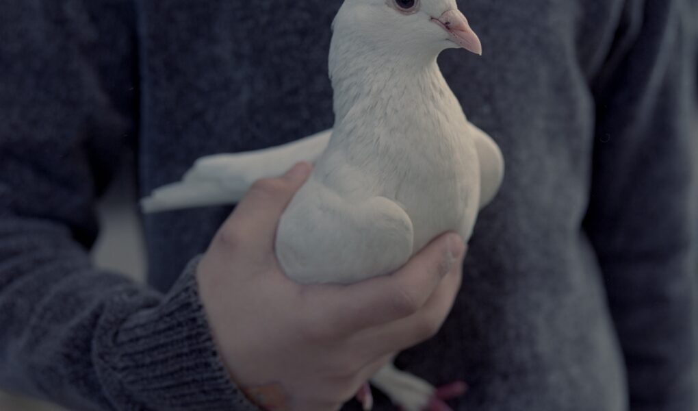 City Metro: Jamel Shabazz’s ode to New York’s Subway - 1854 Photography