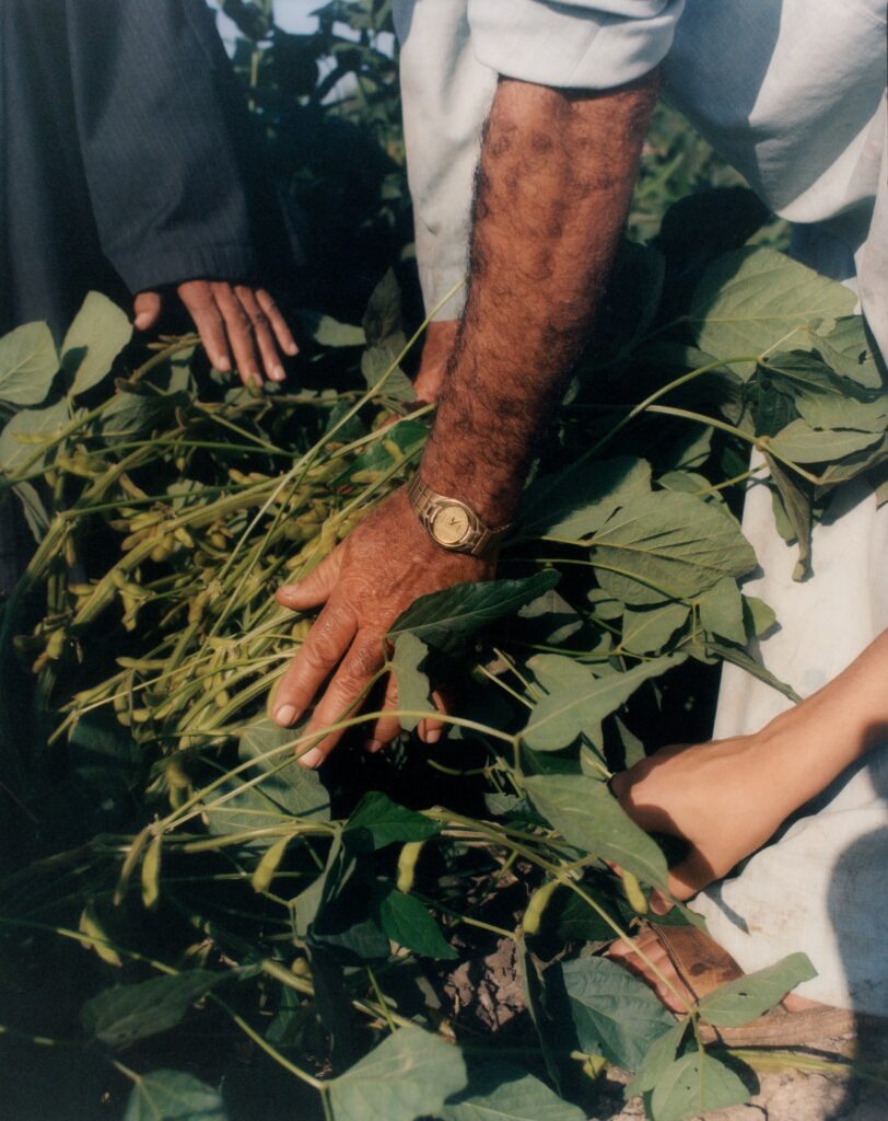 Mariam El Gendy casts her tender eye upon her family's personal history ...