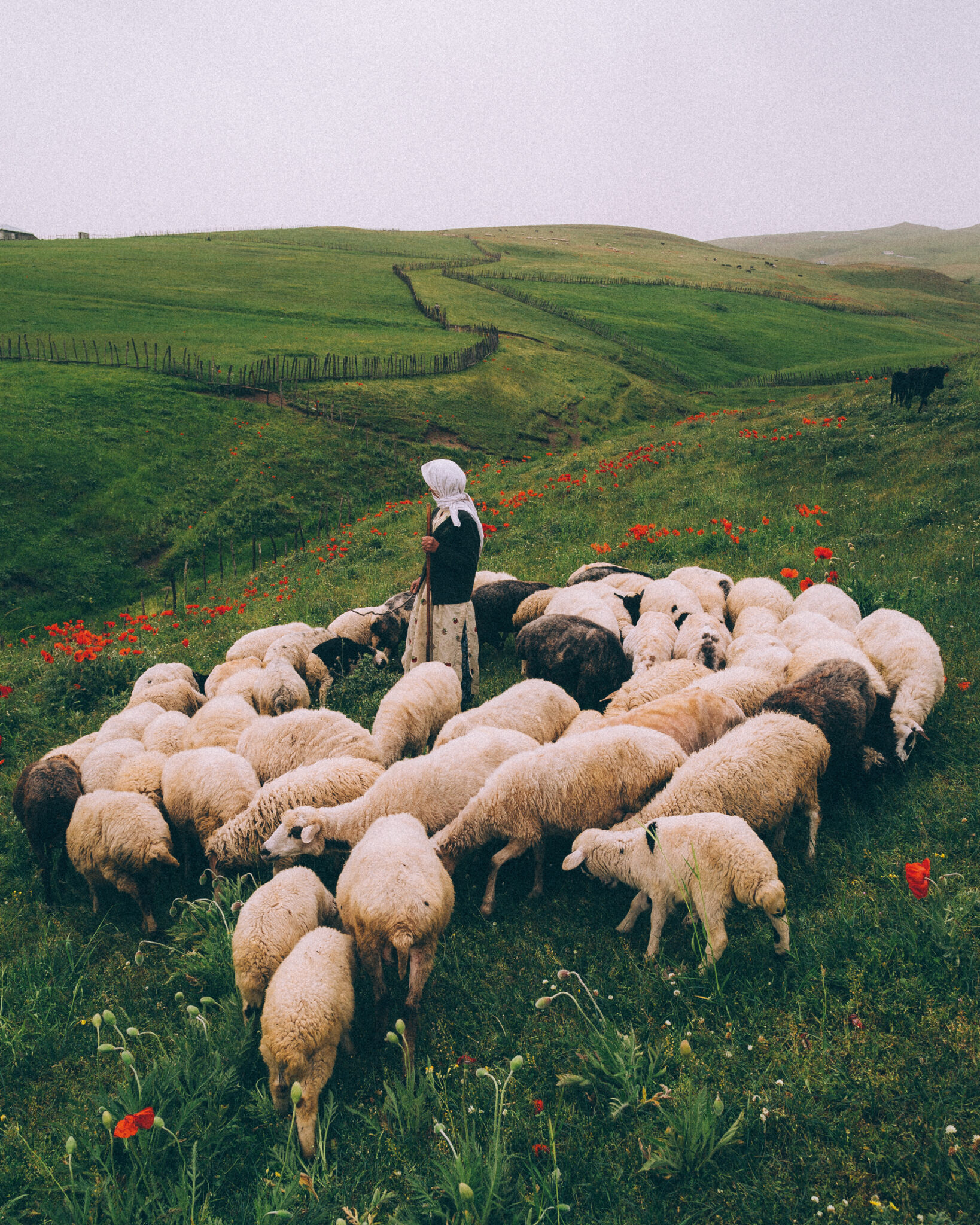 "Photography can foster change": Pictures for Purpose launches fifth ...