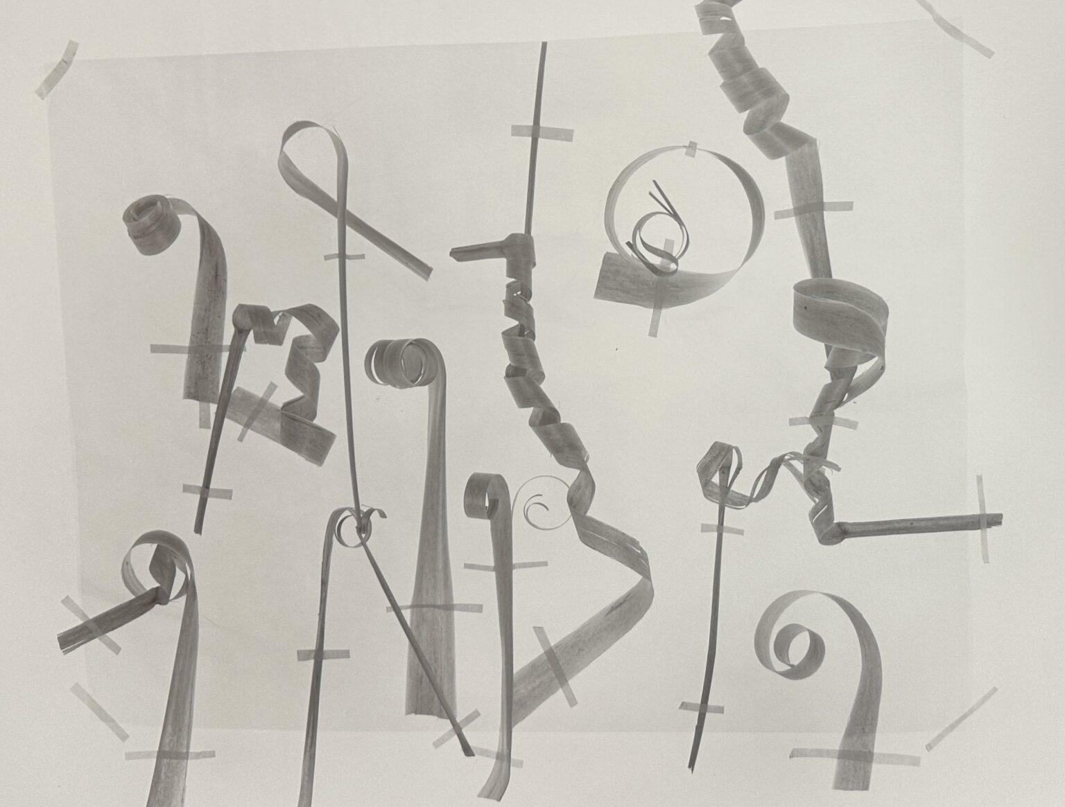 A tribute to John Blakemore (1936-2025) - 1854 Photography