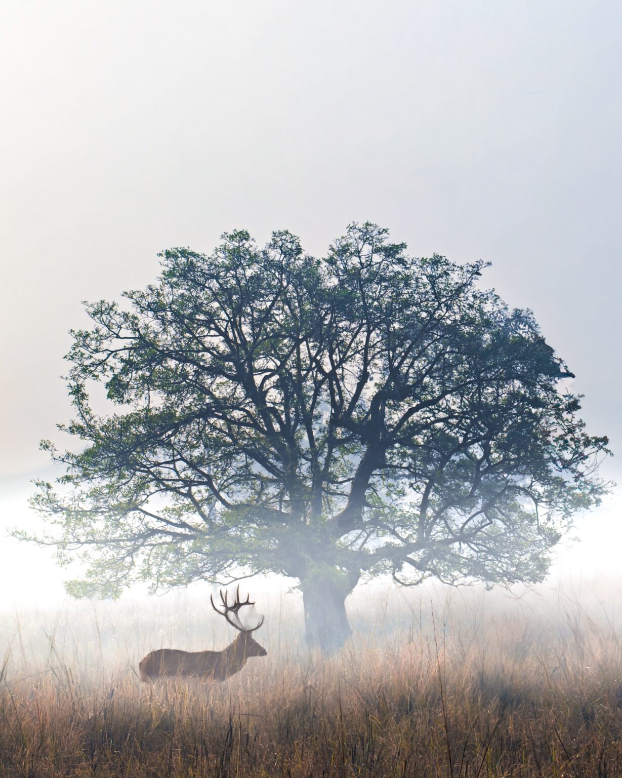 Varun Aditya, on phone photography, relinquishing control and staying ...