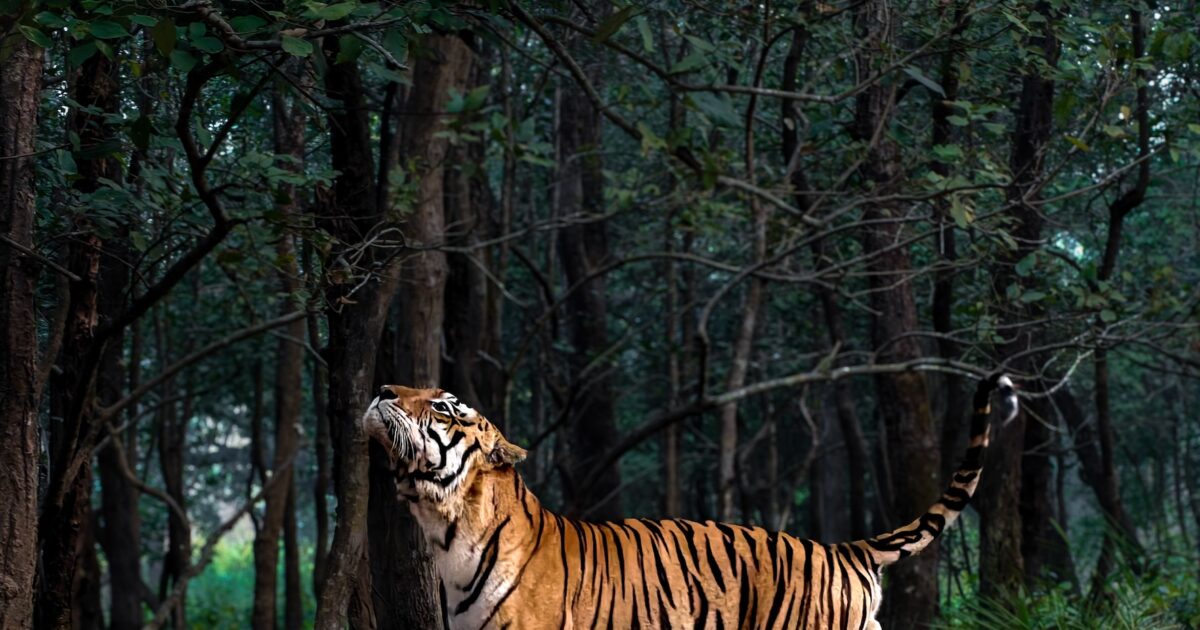 Varun Aditya, on phone photography, relinquishing control and staying ...