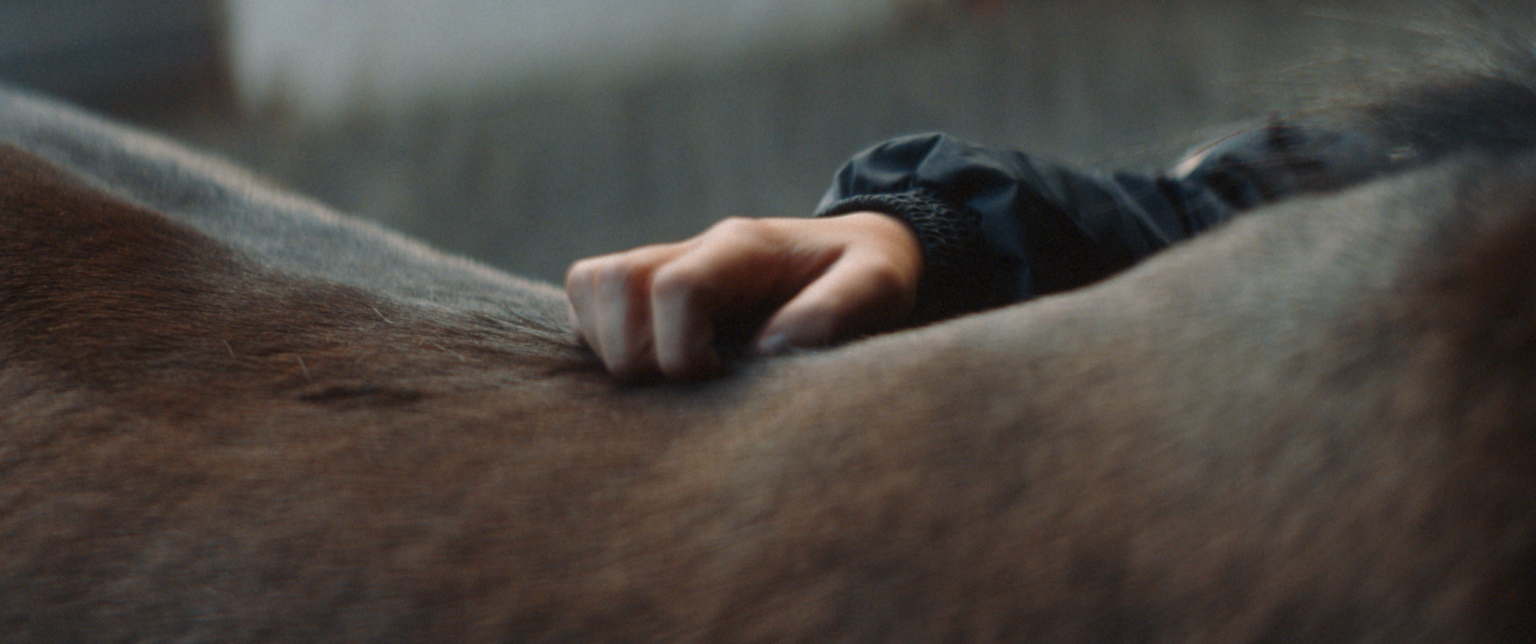 Harry Lawson reimagines the classic Western 'frontier' against a North ...