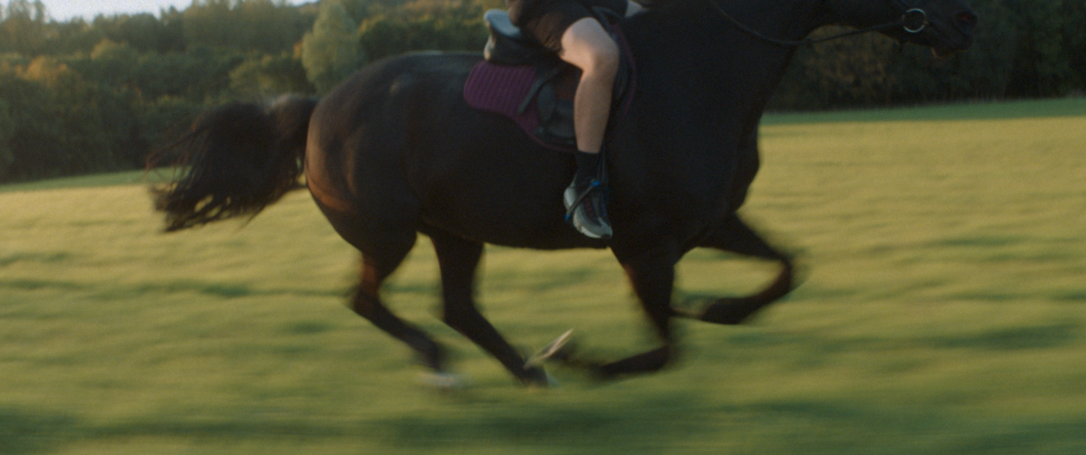 Harry Lawson reimagines the classic Western 'frontier' against a North ...