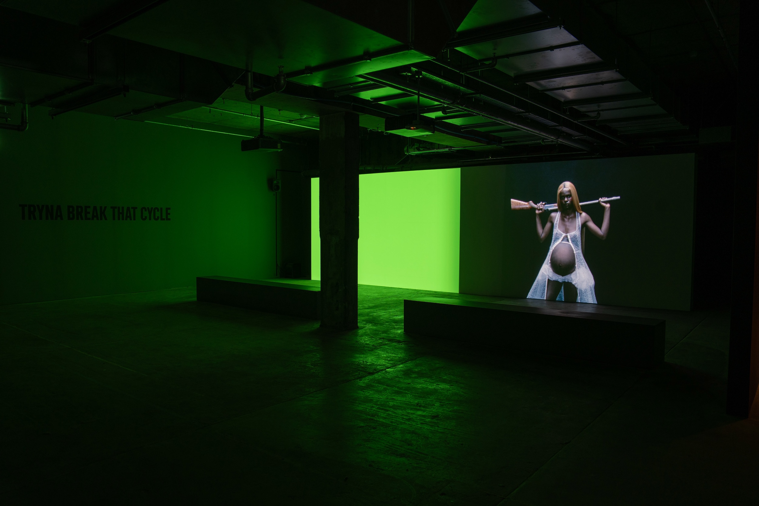 A grand celebration of Gabriel Moses' repertoire - 1854 Photography