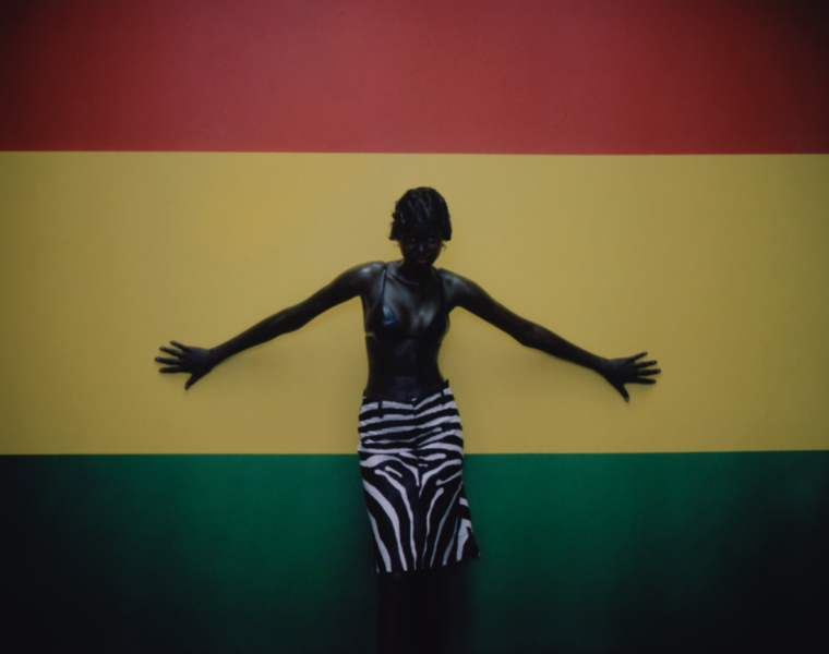 A grand celebration of Gabriel Moses' repertoire - 1854 Photography