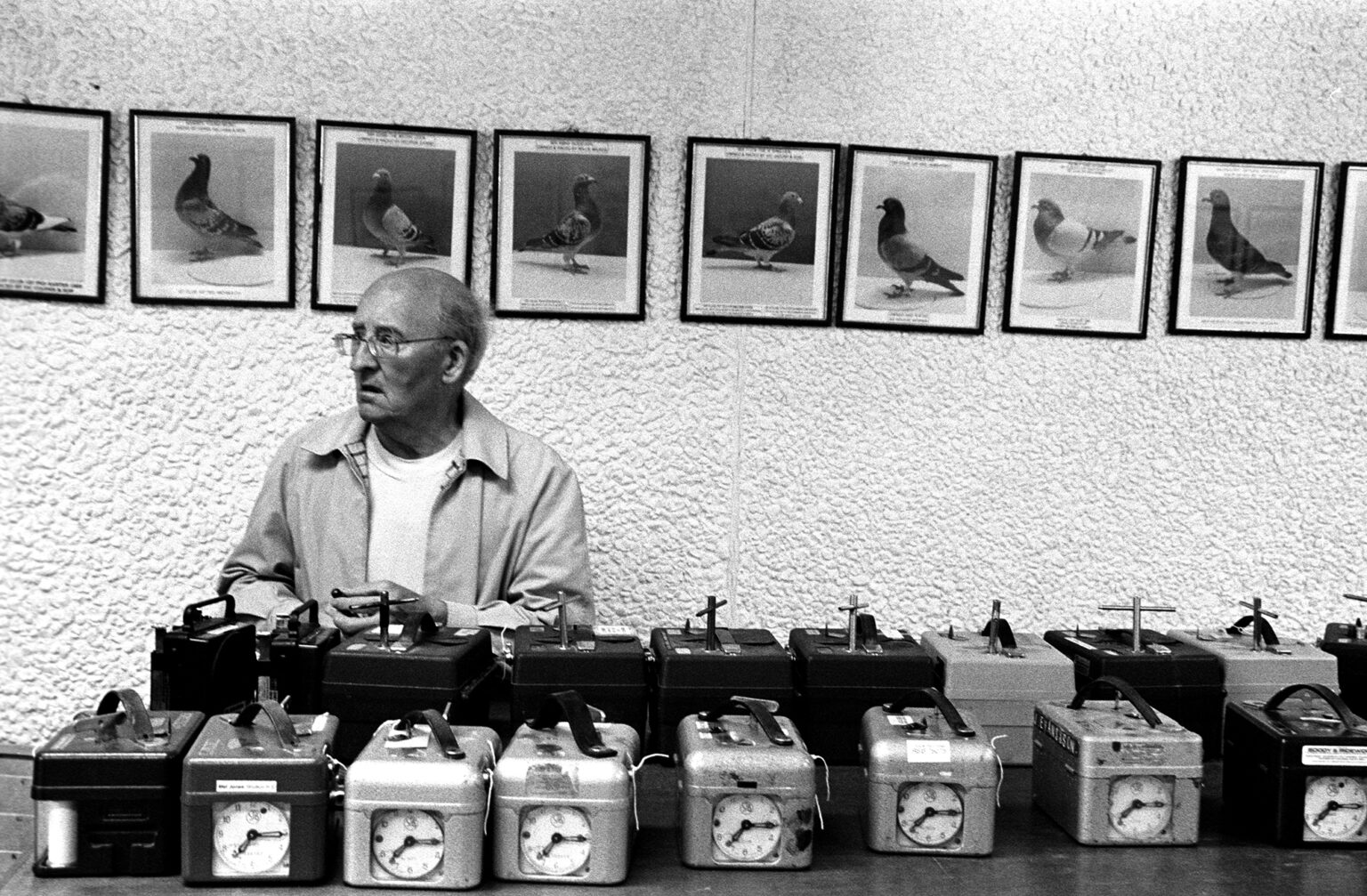 Birdmen: The last flight of a working-class tradition - 1854 Photography