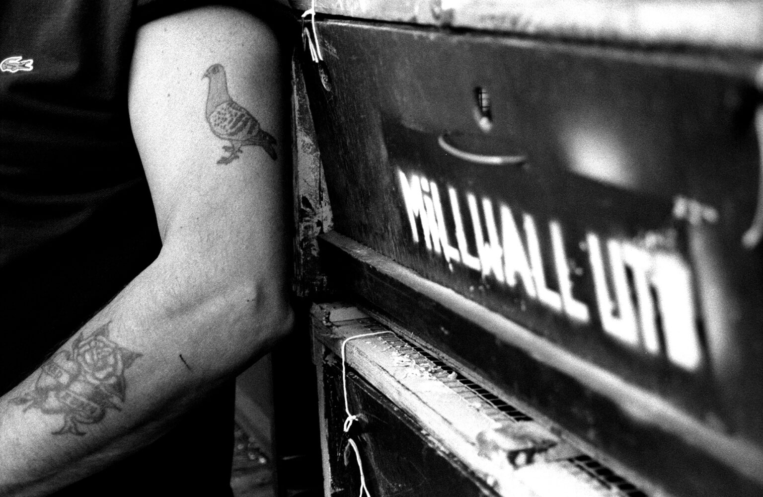 Birdmen: The last flight of a working-class tradition - 1854 Photography