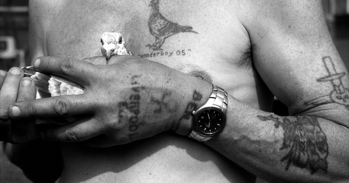 Birdmen: The last flight of a working-class tradition - 1854 Photography