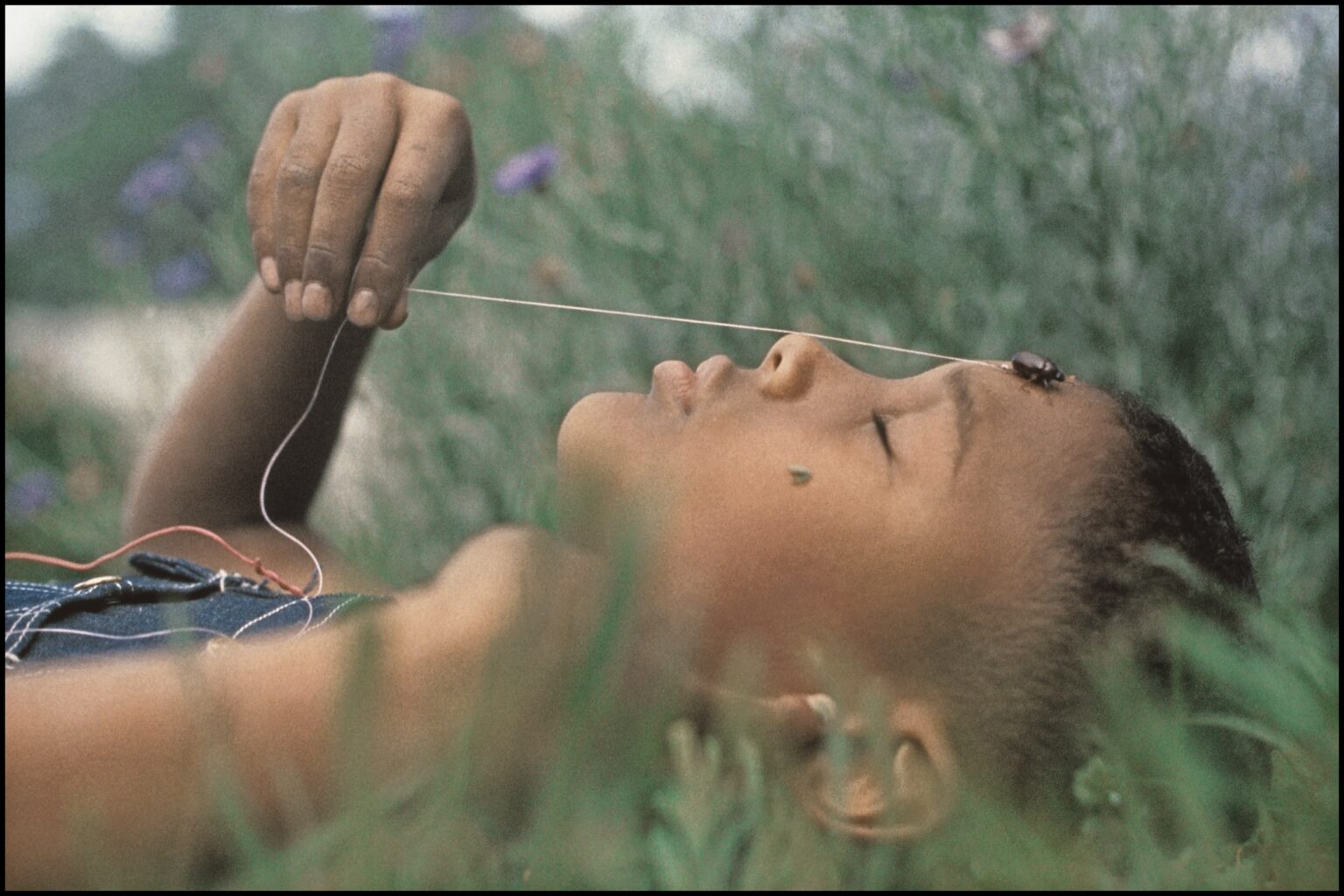 The Gordon Parks Foundation marks 20 years with expanded fellowships ...